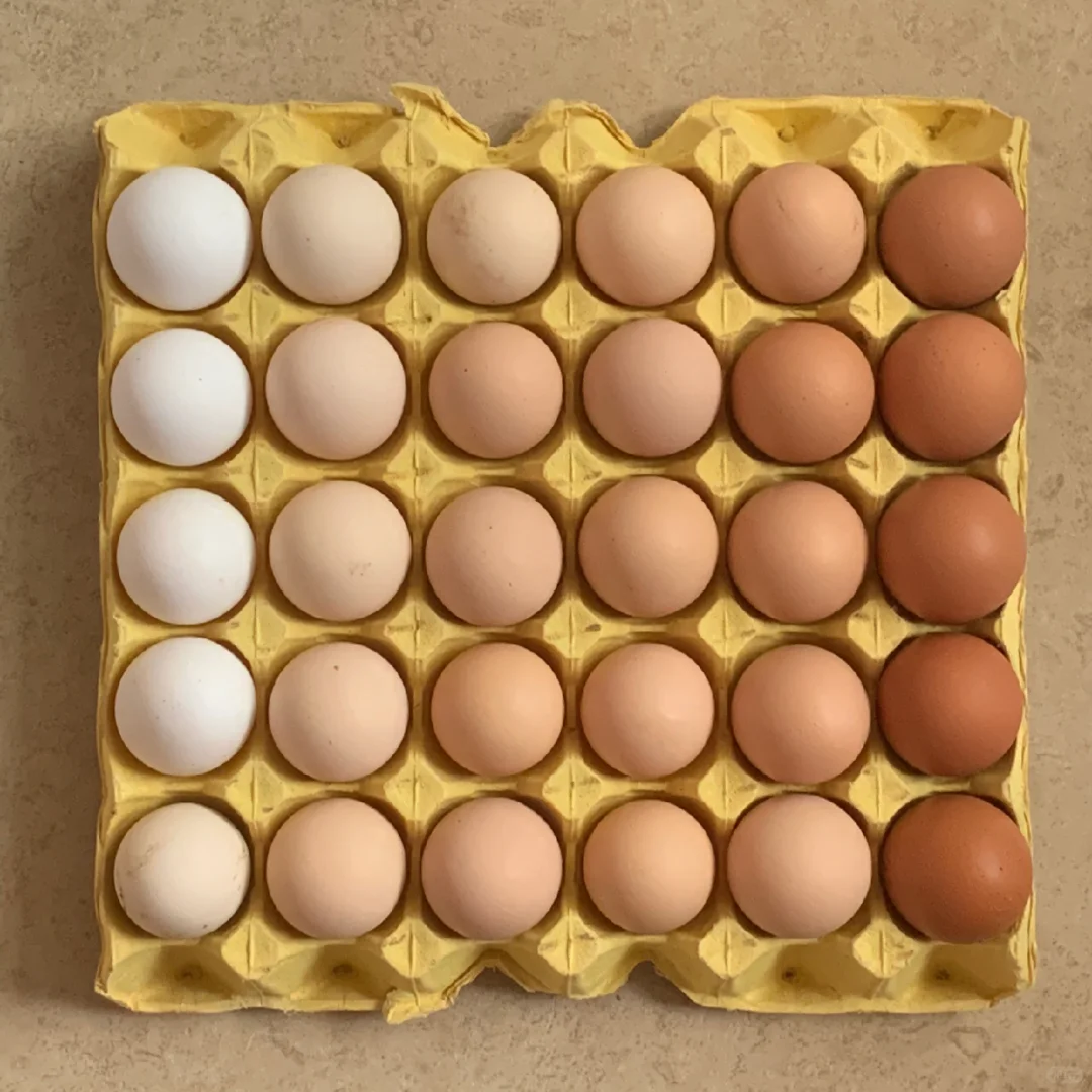 Optimizing Poultry Egg Storage with Cold Rooms and Chiller Units (EN ...